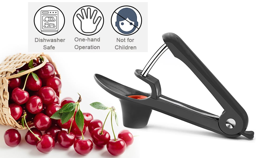 Push-Type Cherries Pitter